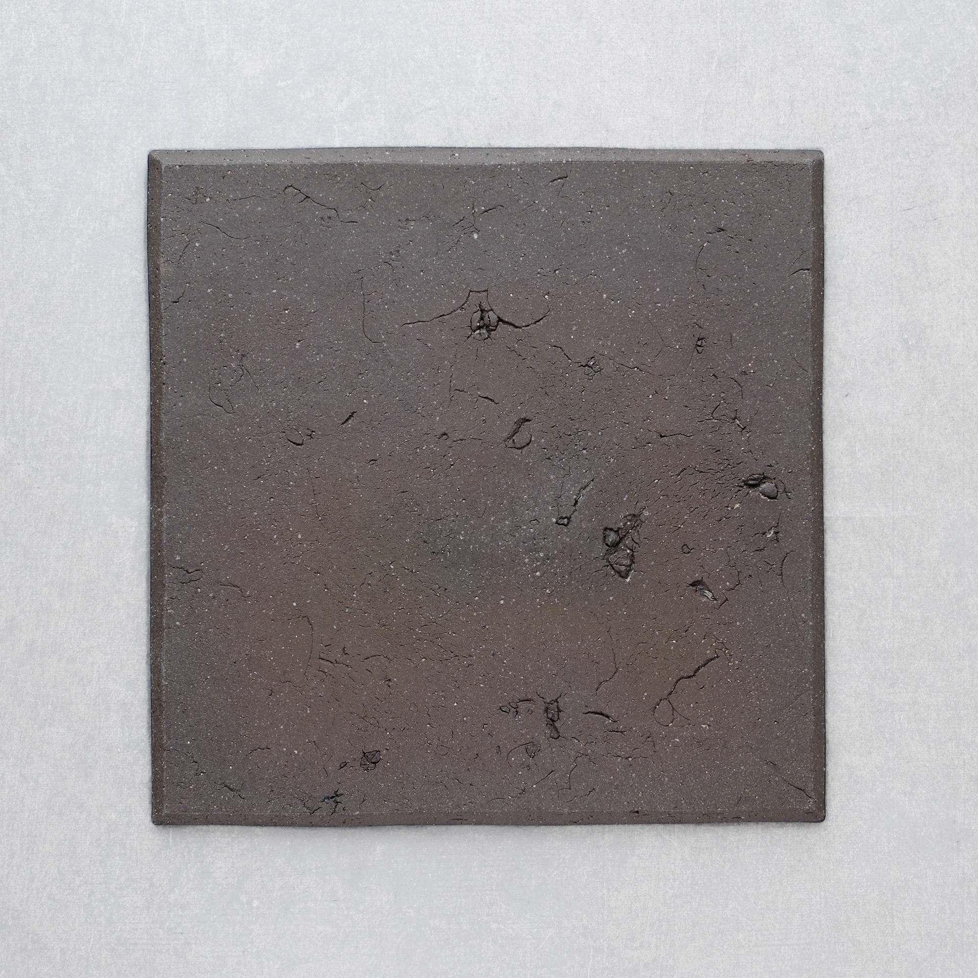 Tamotsu Suzuki | Ban (Plate) - Analogue Life